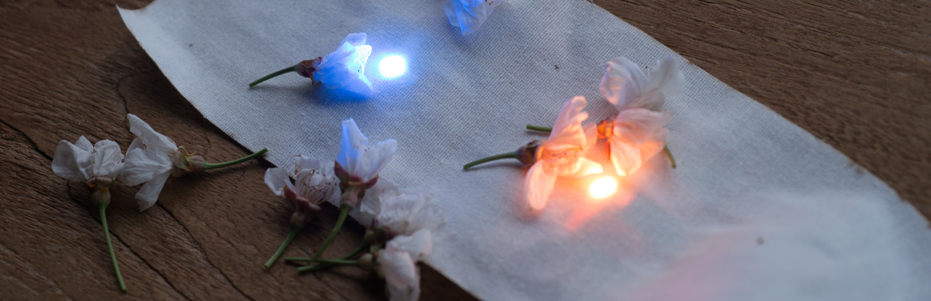 Impressum - WEAR LEDS!